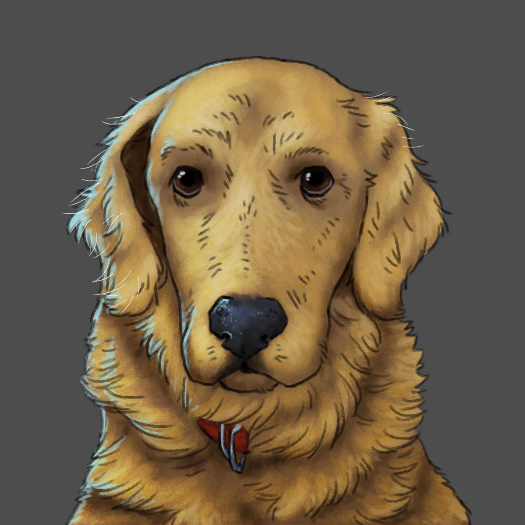 Das Team | Martin Reichhardt